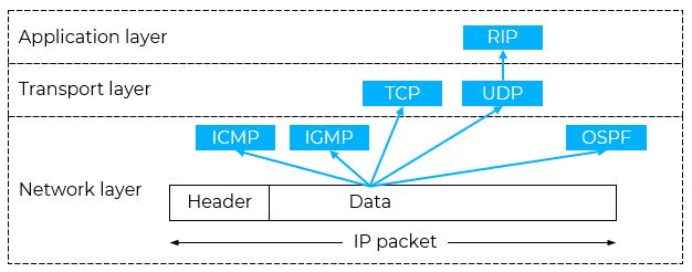 IP数据报 Packet